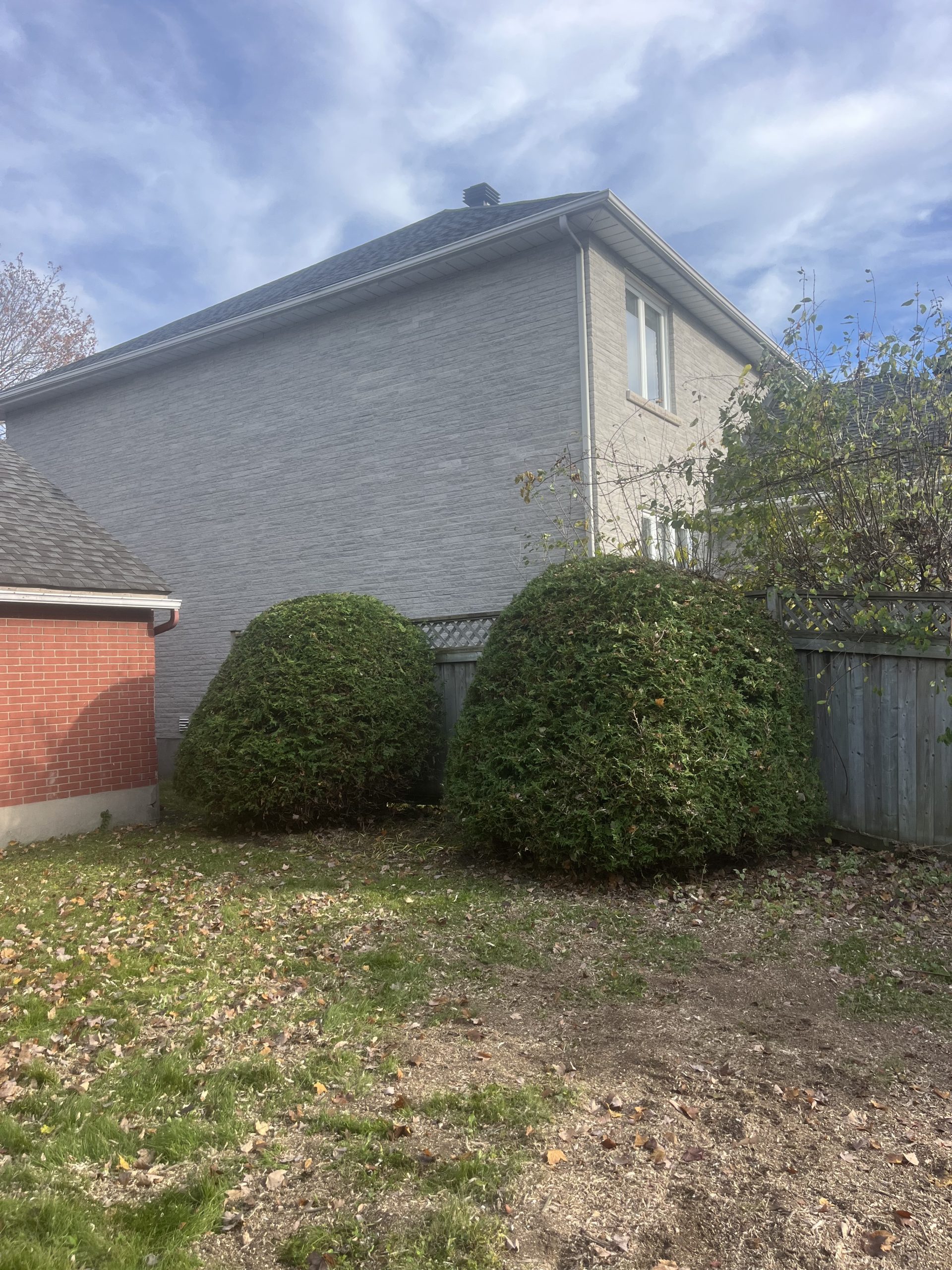 Hedge Trimming - Max Trees